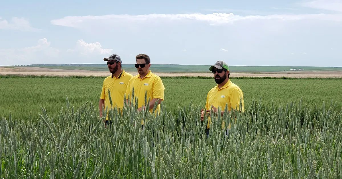 Nutrien Ag Solutions Field Tours Valuable Resource for Growers