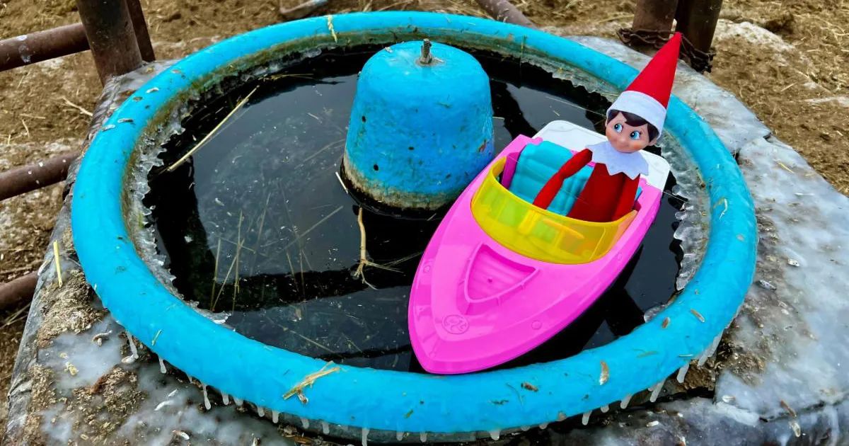 Montana Farmers Union Elf on the Farm Photo Contest