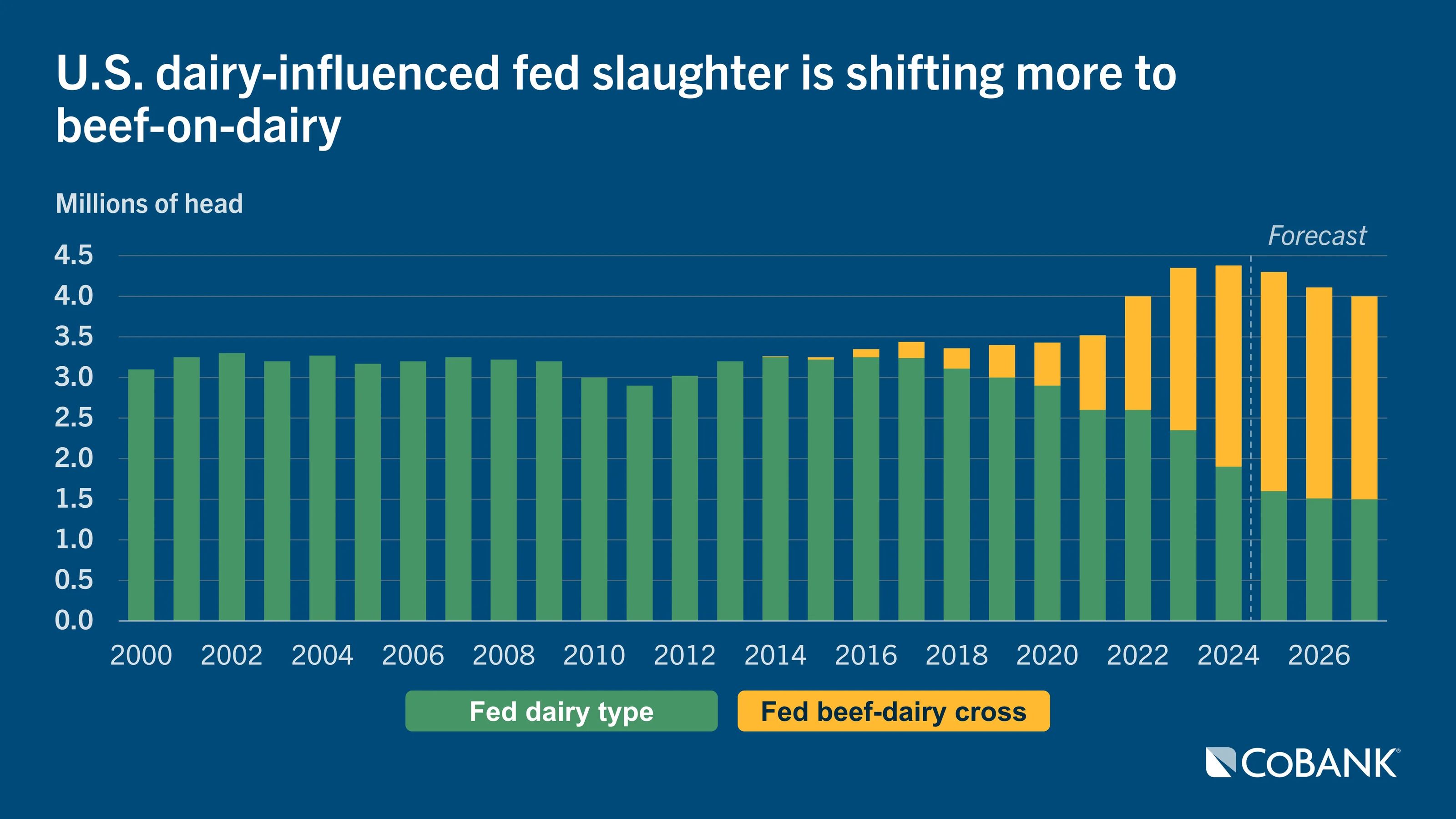 Beef-on-Dairy Cattle Gain Ground in U.S. Beef Supply Chain