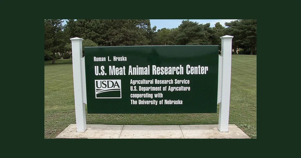 Federal Layoffs Hit U.S. Meat Animal Research Center in Clay Center ...