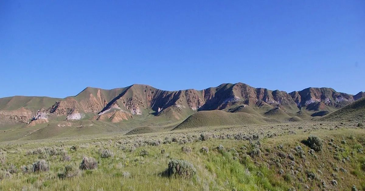 Montana Fish, Wildlife and Parks to Allow Emergency Haying and Grazing ...