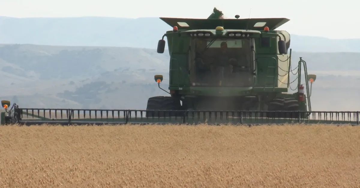 U.S. Pulse Industry Reaches Out to NGOs on New Dietary Guidelines for ...