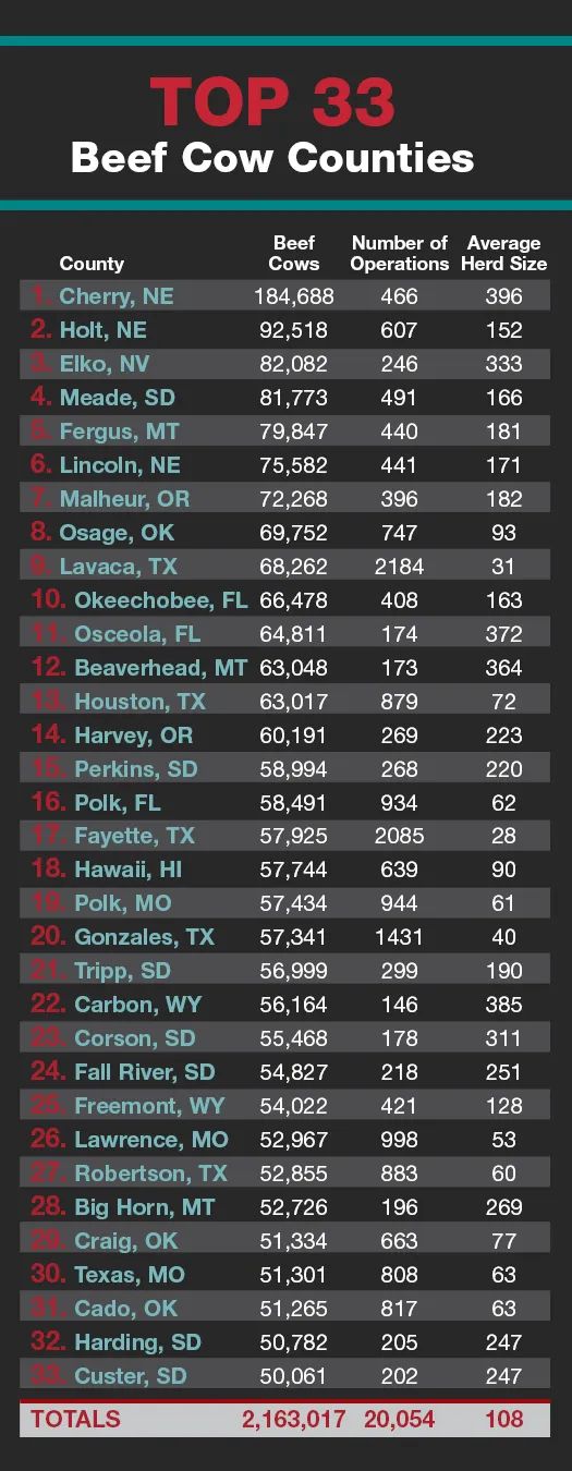 America’s Top 33 Beef Cow Counties